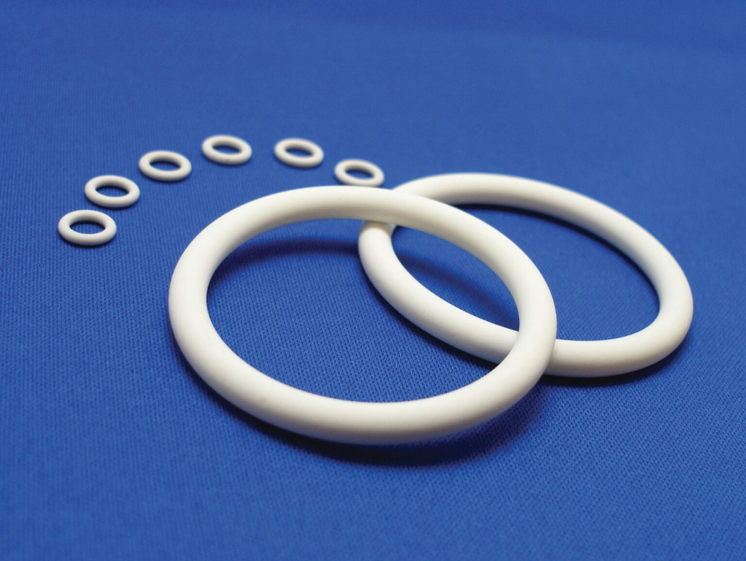 HyClamp™ Sanitary Gaskets - Precision Polymer Engineering